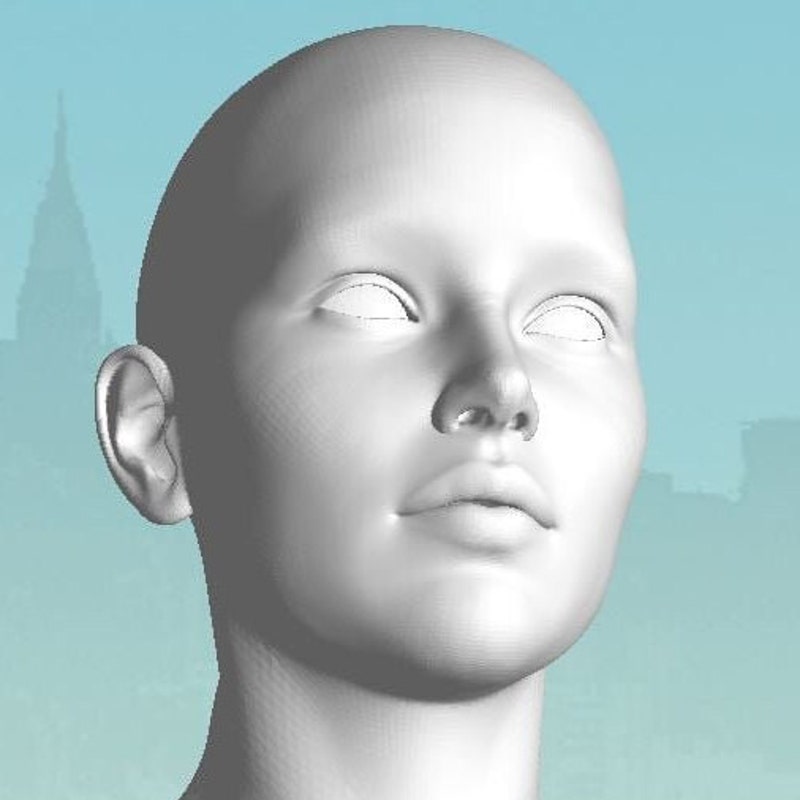 Fivem Head - Etsy
