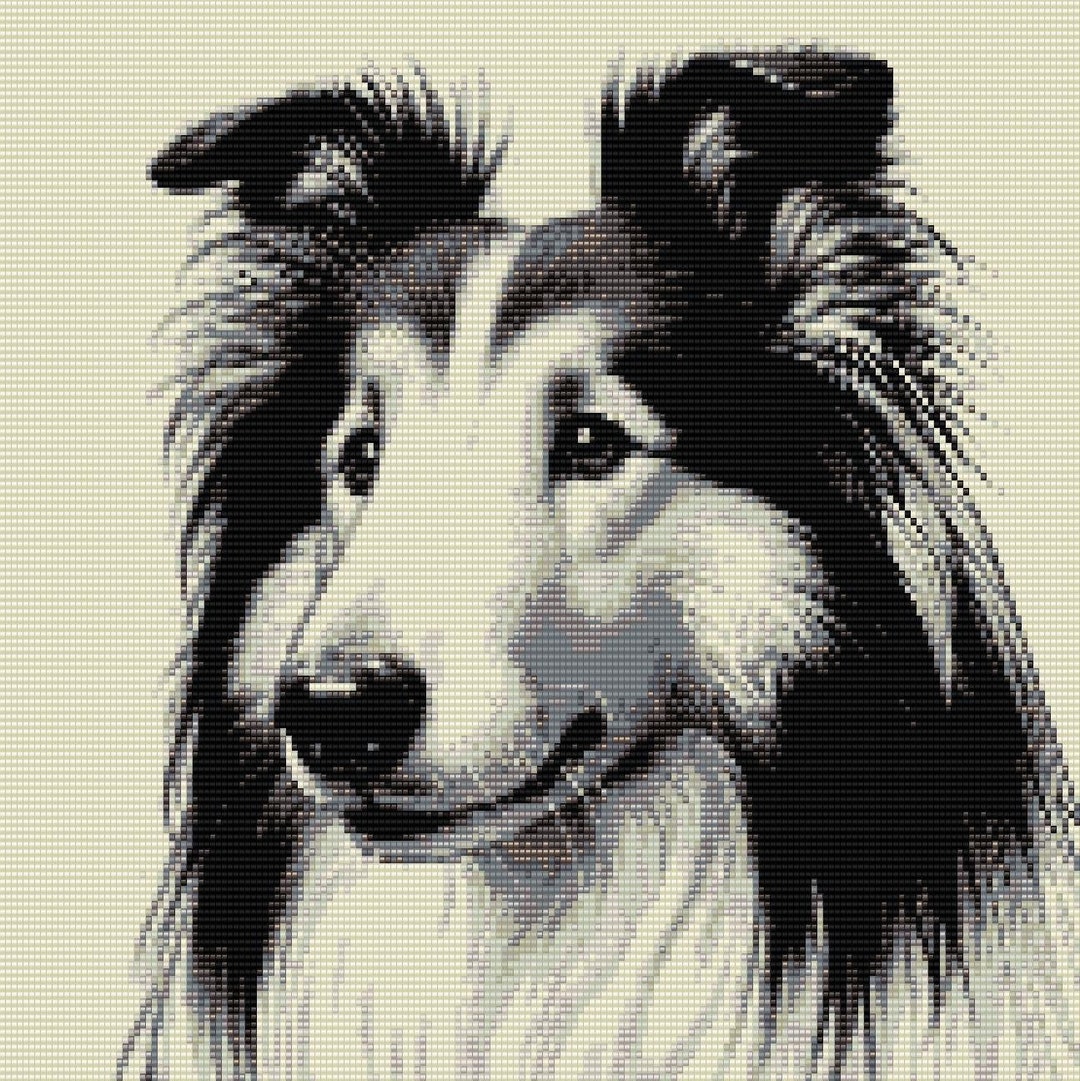 Collie Dog Loom & Peyote Stitch Patterns Large Bead Tapestry Using ...