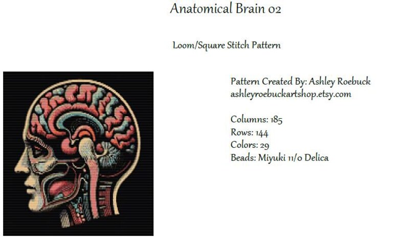 Anatomical Brain Loom & Odd Peyote Stitch Patterns - Large Bead ...