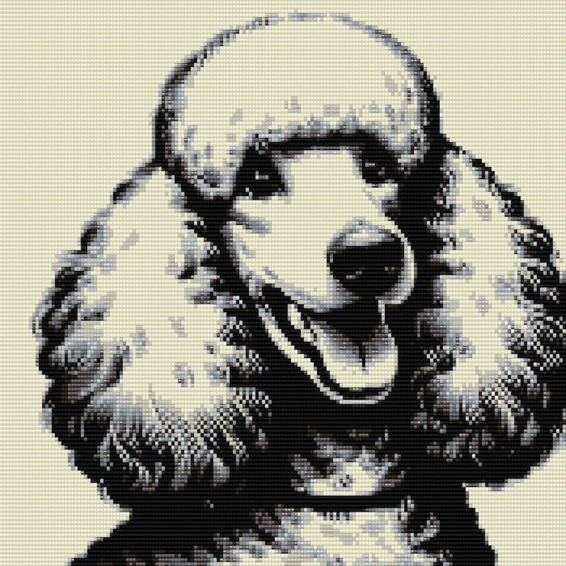 Poodle Word - Etsy