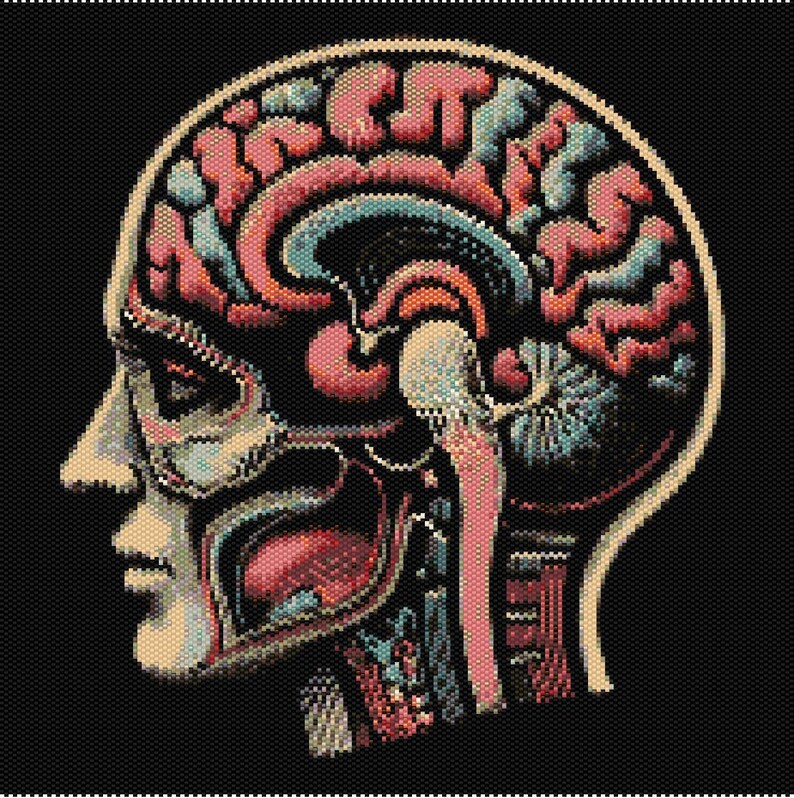Anatomical Brain Loom & Odd Peyote Stitch Patterns - Large Bead ...
