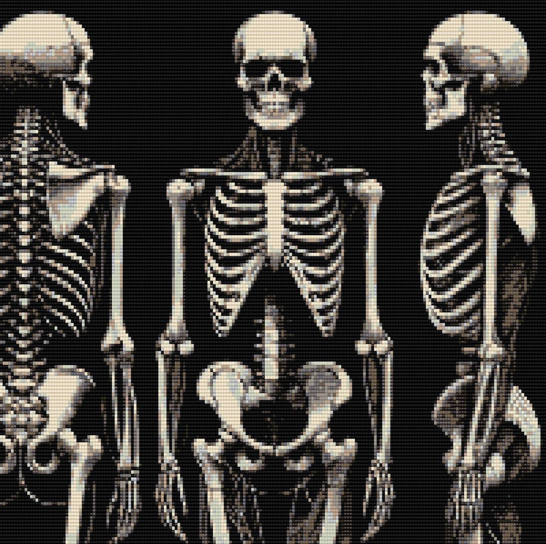 Anatomical Skeleton Loom & Peyote Stitch Patterns Large Bead Tapestry ...