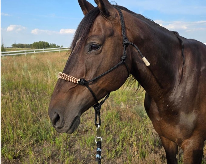 Custom Rope Halter With Matching 10' Lead Rope - Etsy
