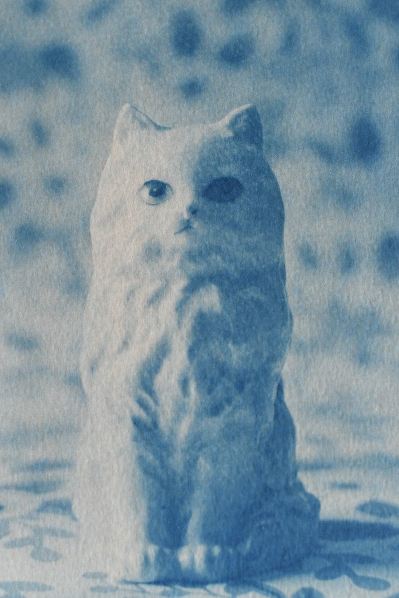 Vintage Old Cat Ceramic Image Cyanotype Photograph Original Print 8x10 ...
