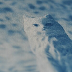 Vintage Old Cat Ceramic Image Cyanotype Photograph Original Print 8x10 ...