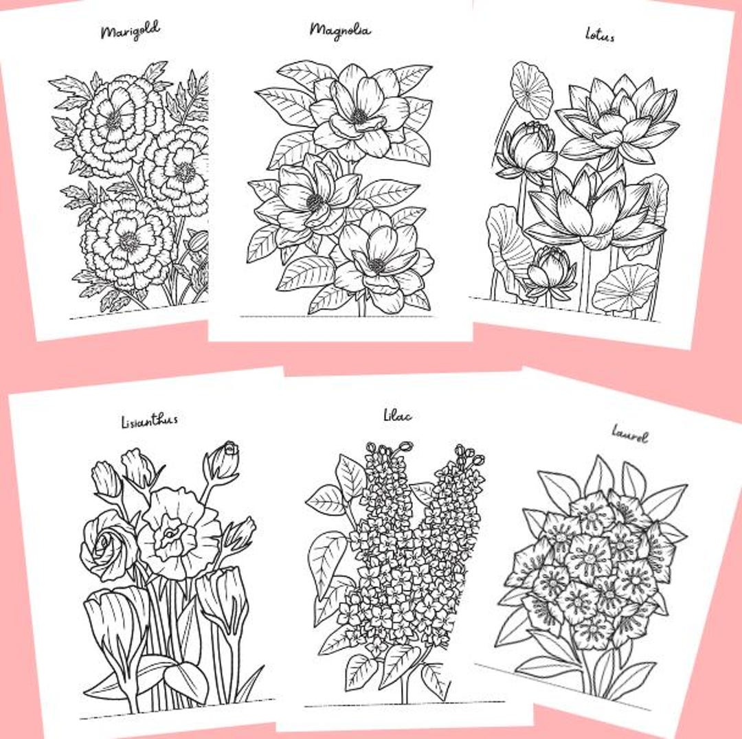 130 Elegant Flower Coloring Pages Adults and Kids Coloring Book ...