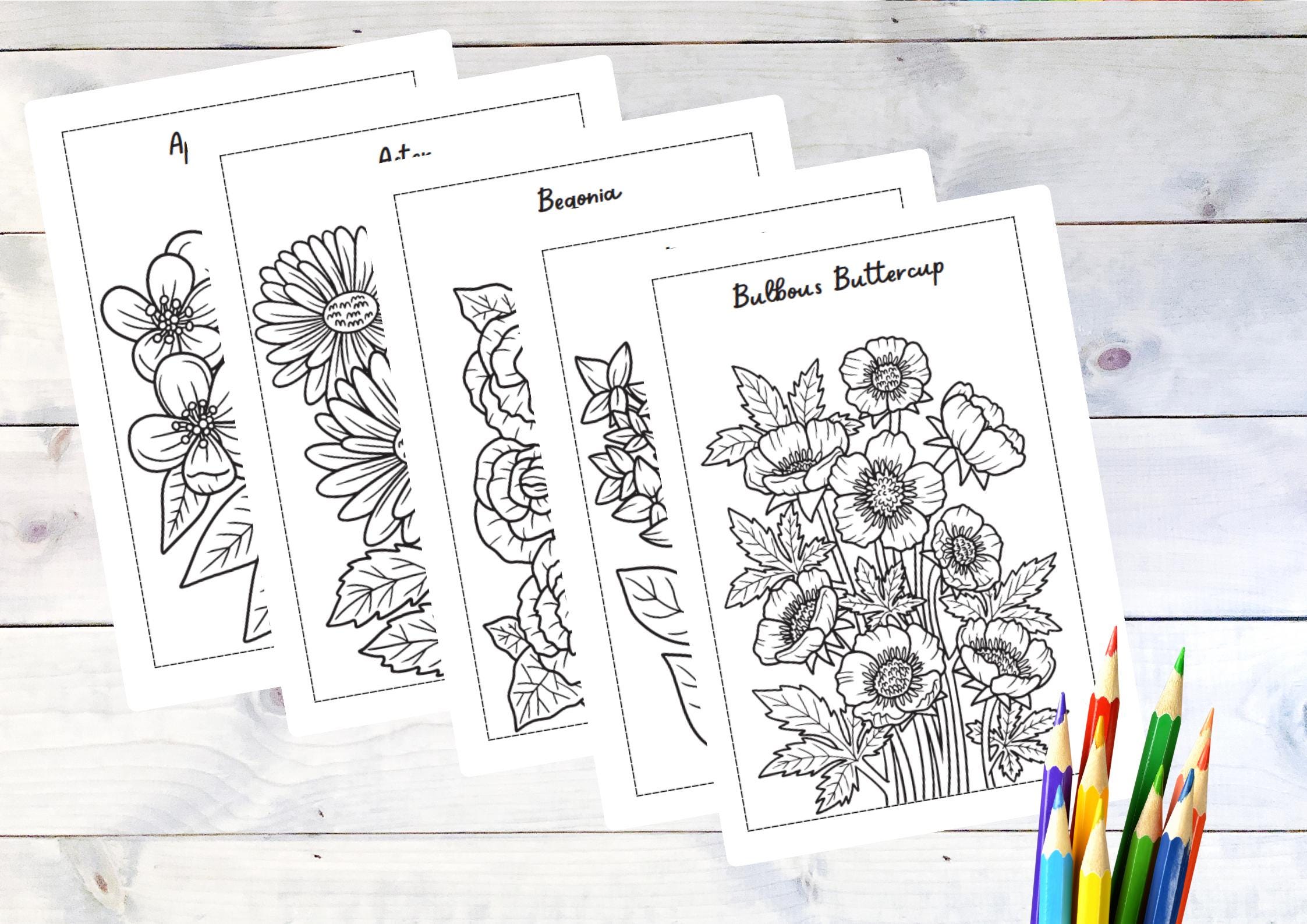 Coloring Book Template DIY Printable Coloring Pages Instant Download ...