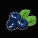 Blueberry Patch, Fruit Patch, Iron on Patch, Embroidered Patch ...