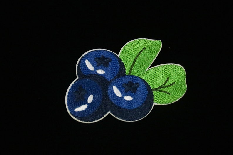 Blueberry Patch, Fruit Patch, Iron on Patch, Embroidered Patch ...