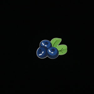 Blueberry Patch, Fruit Patch, Iron on Patch, Embroidered Patch ...