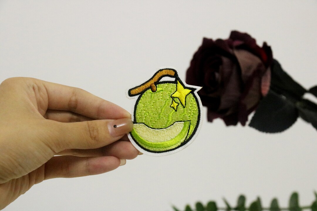 Melon Patch, Fruit Patch, Iron on Patch, Embroidered Patch, Applique ...
