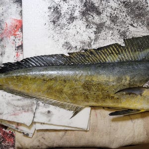 Mahi Mahi Gyotaku (color) - Limited Edition Reproduction, Unframed. - Etsy