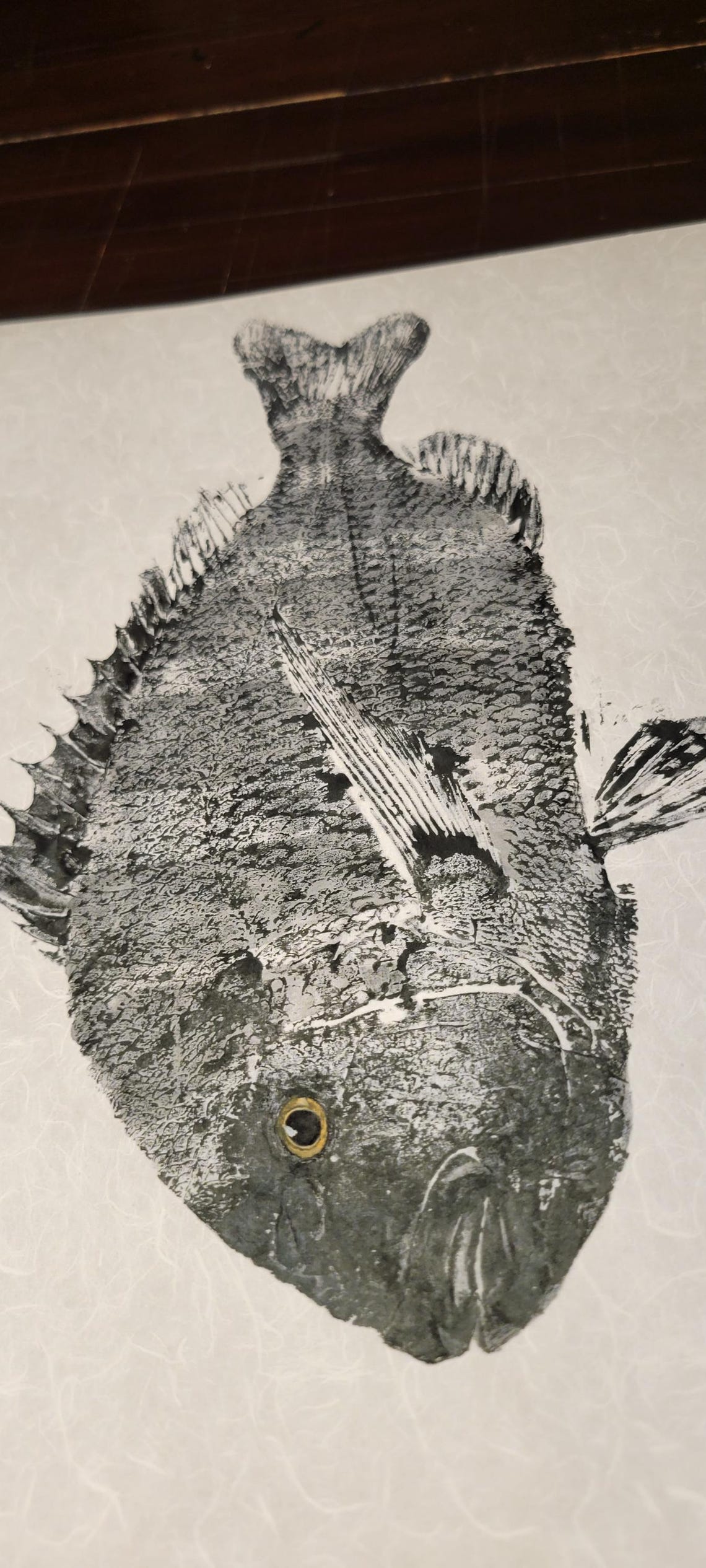 Sheepshead Fish Gyotaku Print – Limited Edition Giclée Reproduction ...