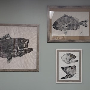 Sheepshead Fish Gyotaku Print – Limited Edition Giclée Reproduction on ...