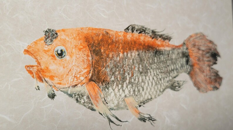 Butterfly Koi Gyotaku – Limited Edition Giclée on Archival Paper | Hand ...