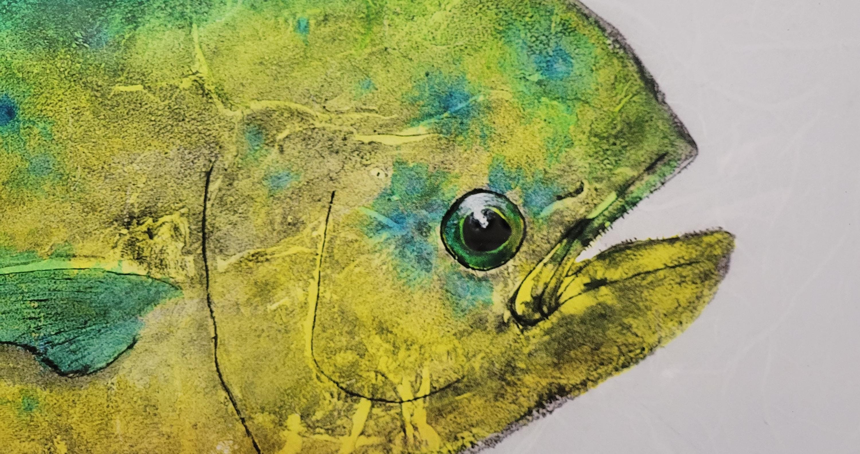 Mahi Mahi Gyotaku color Limited Edition Reproduction, Unframed. - Etsy