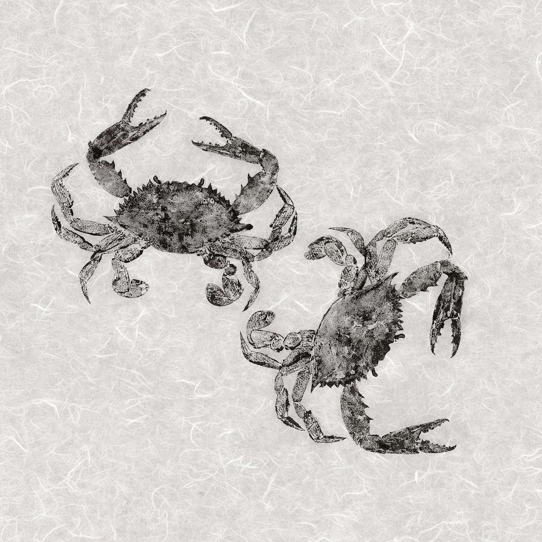 Blue Crab Gyotaku Limited Edition Reproduction, Unframed. - Etsy