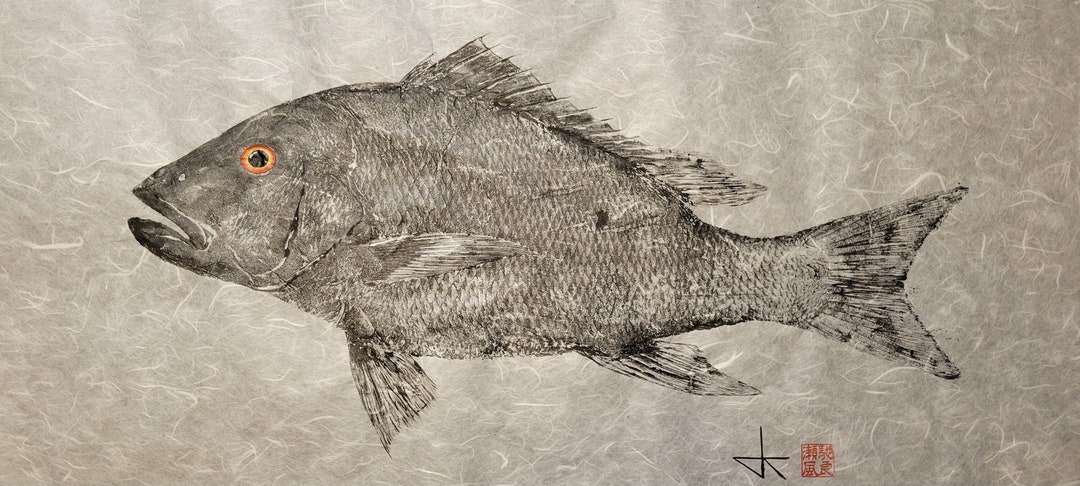 Original Mutton Snapper Gyotaku – Hand Made Fish Print on Korean ...