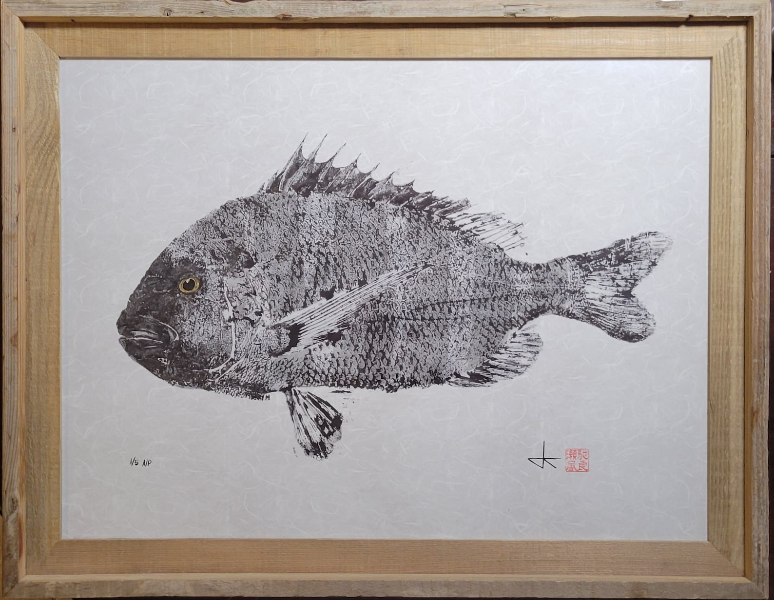 Sheepshead Fish Gyotaku Print – Limited Edition Giclée Reproduction ...