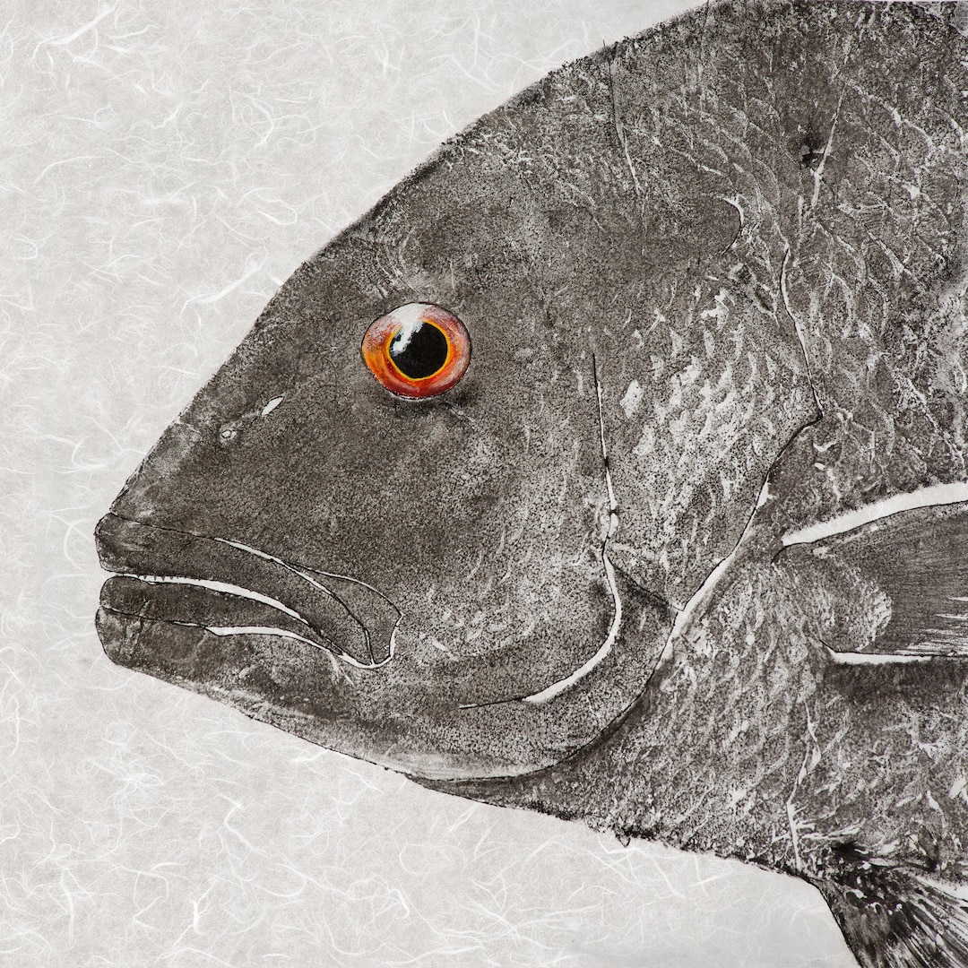 Red Snapper Gyotaku Portrait – Limited Edition Fish Head Print – Giclée ...
