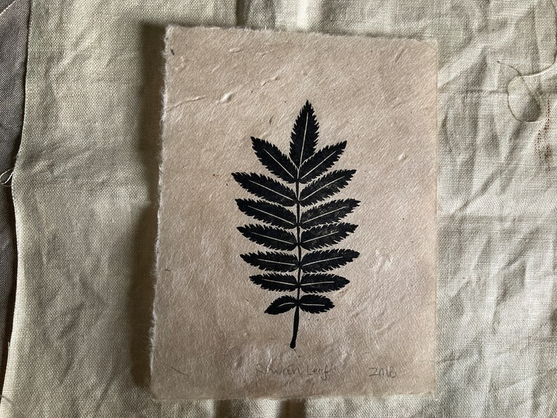 Rowan Leaf Lino Cut Print on Nepalese Lokta Paper Hand Torn Edges - Etsy