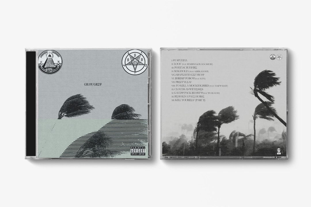 Gray/grey Suicideboys CD - Etsy