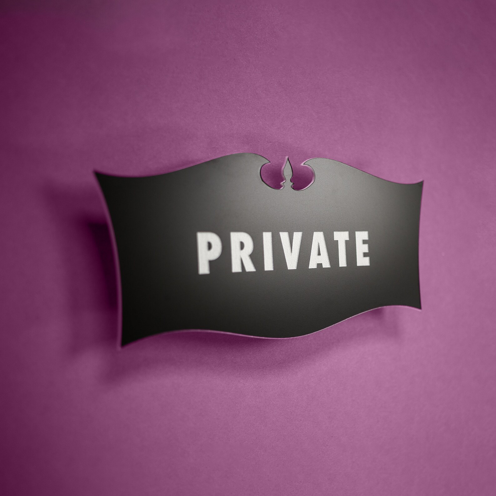 Mid-century Private Sign, or Your Custom Text! Laser Cut Typography ...