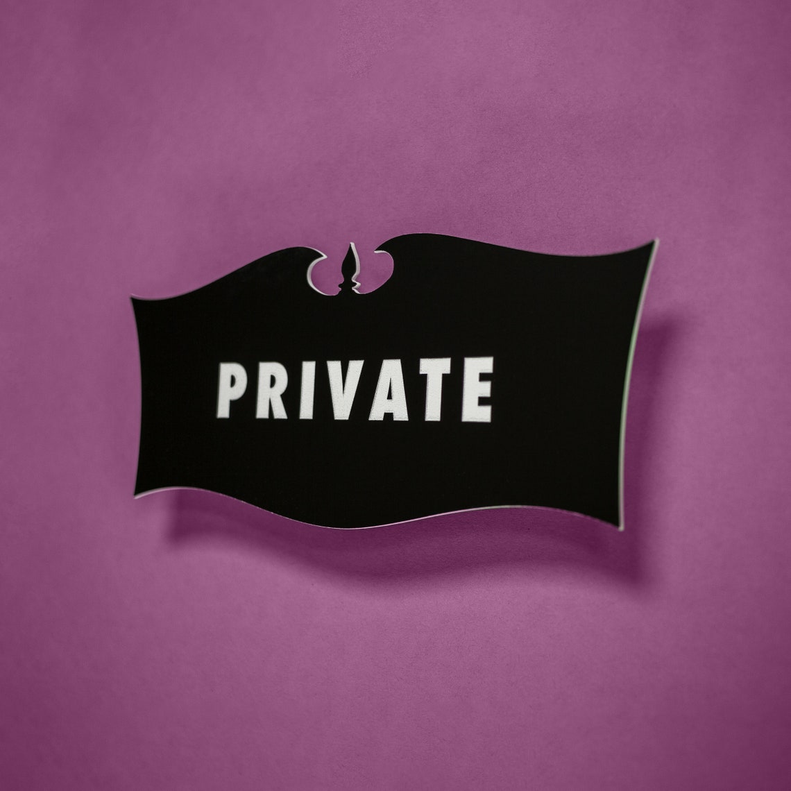 Mid-century Private Sign, or Your Custom Text! Laser Cut Typography ...