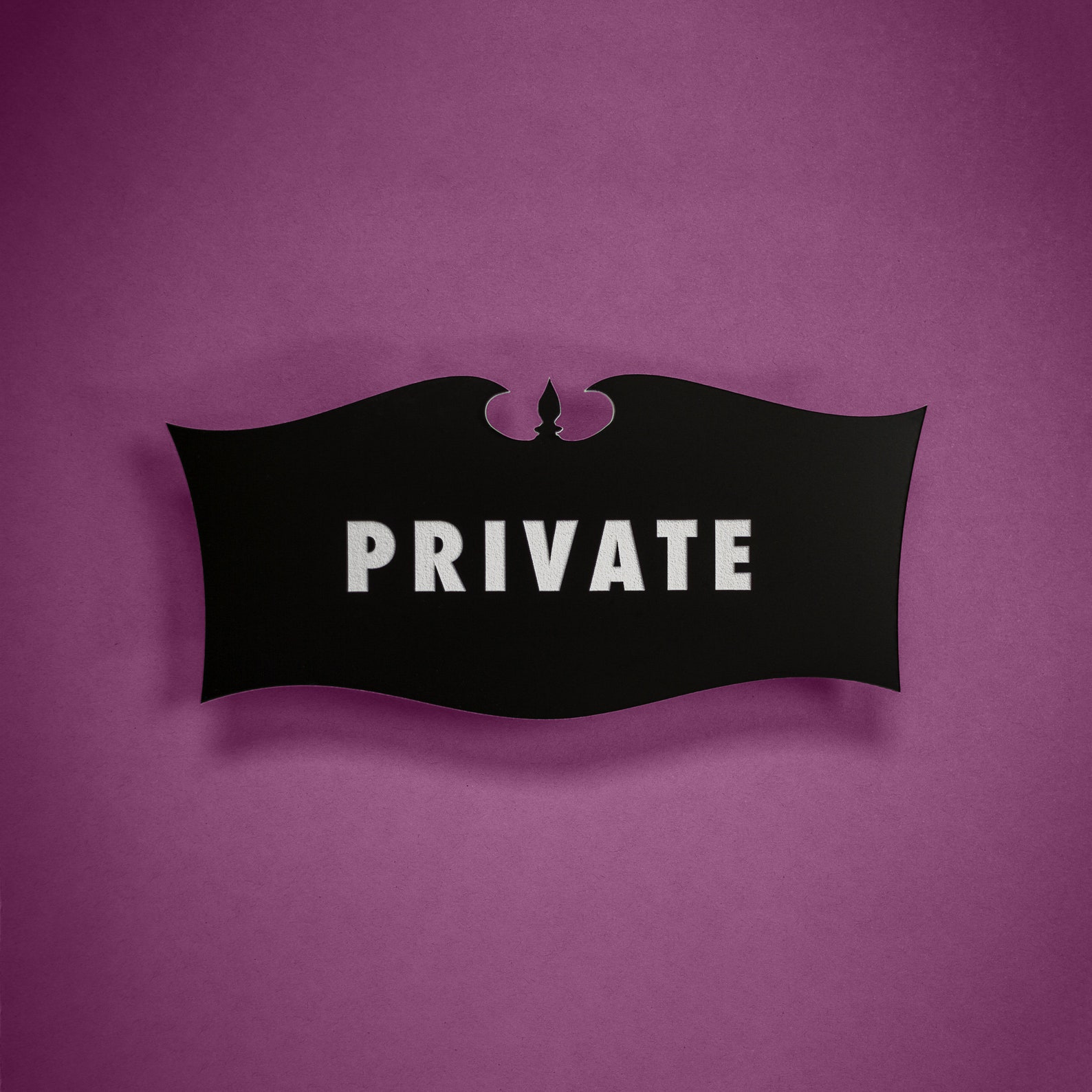 Mid-century Private Sign, or Your Custom Text! Laser Cut Typography ...