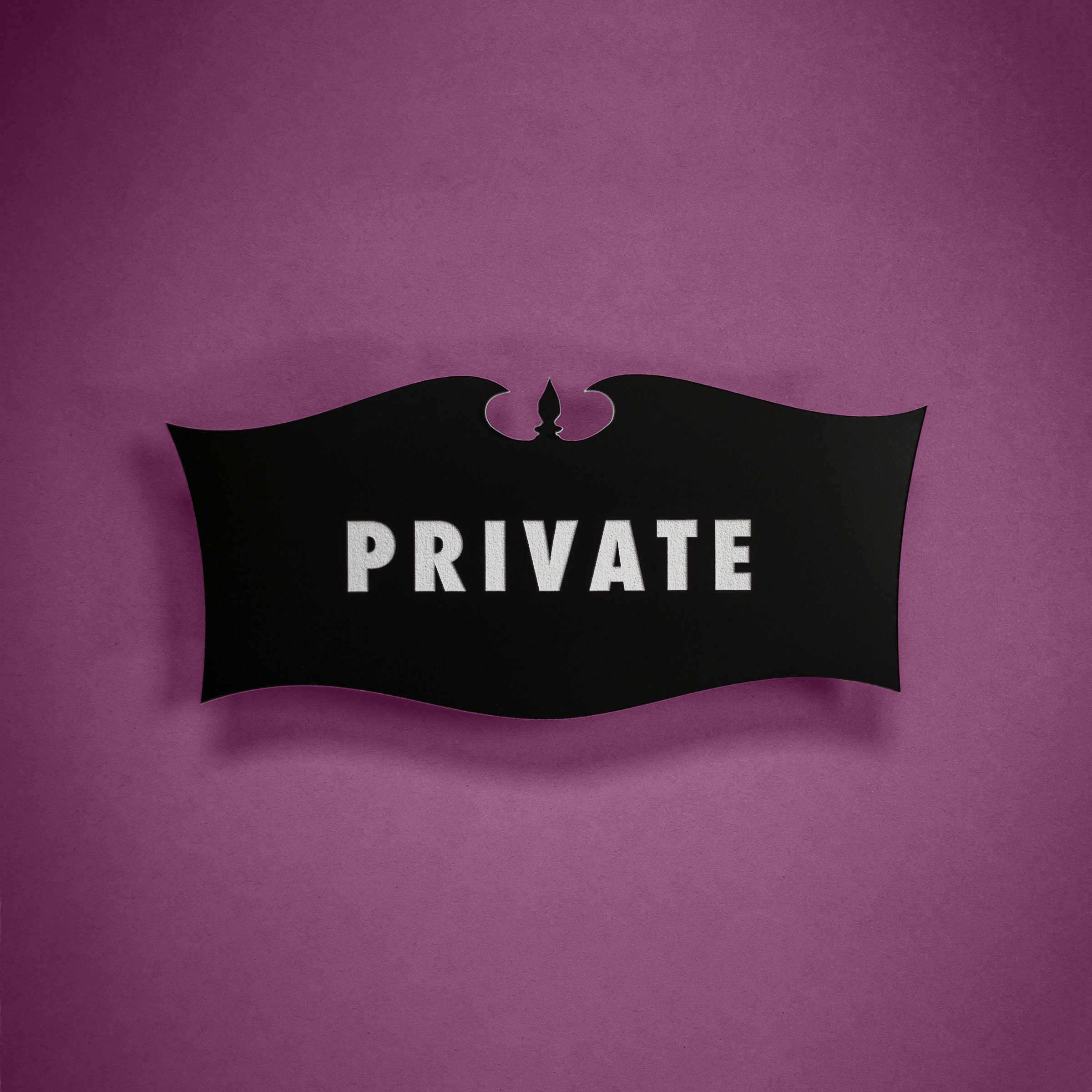 Mid-century Private Sign, or Your Custom Text! Laser Cut Typography ...