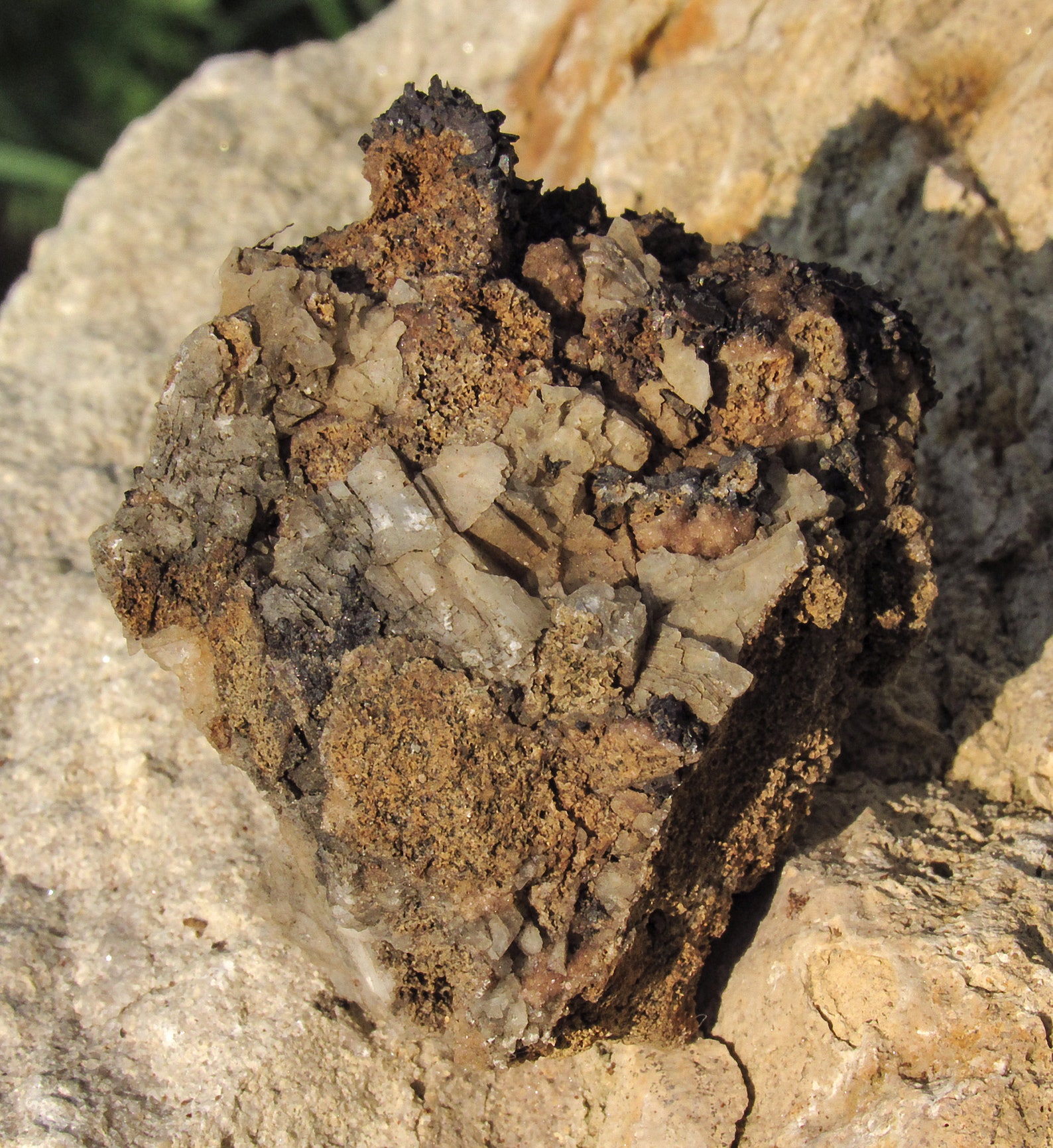 Goethite Pseudomorphs After Marcasite With Calcite - Etsy