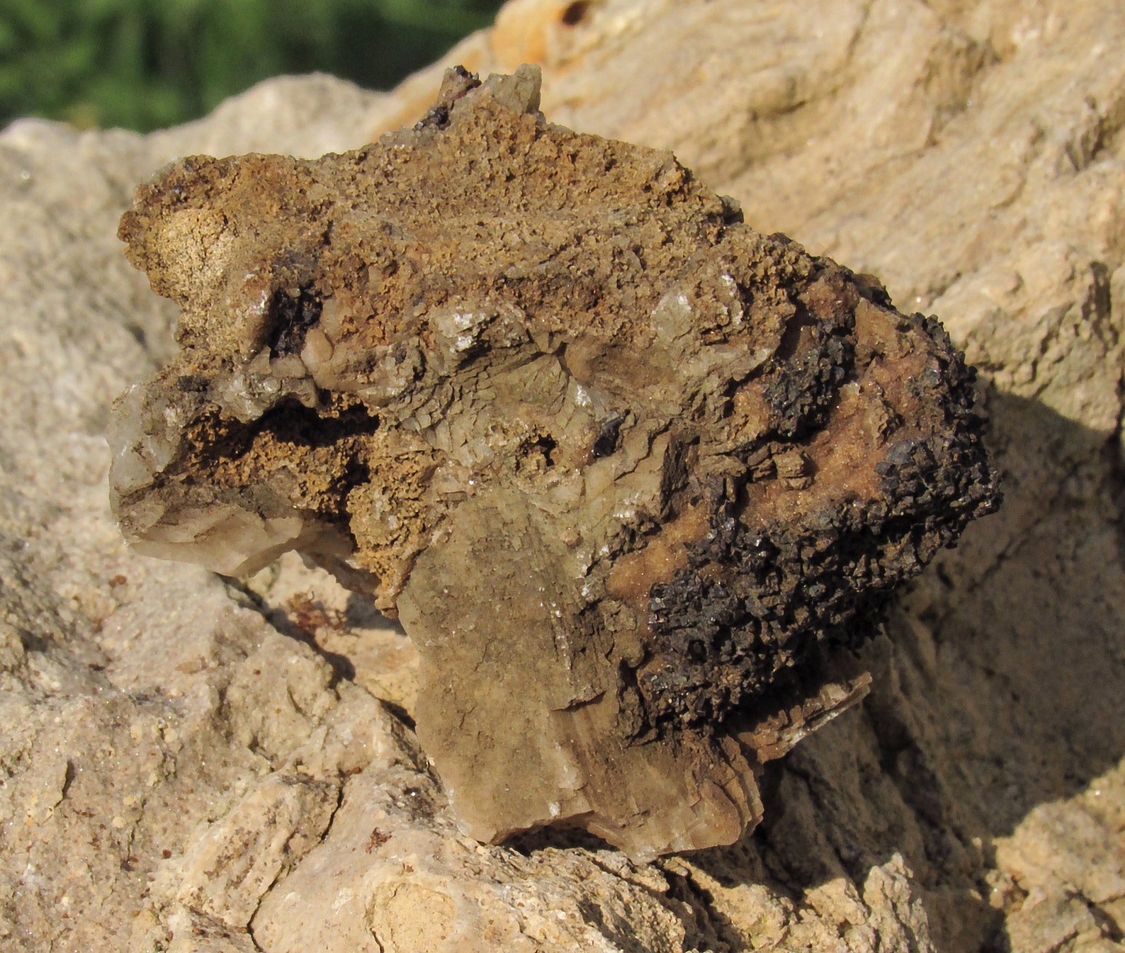 Goethite Pseudomorphs After Marcasite With Calcite - Etsy