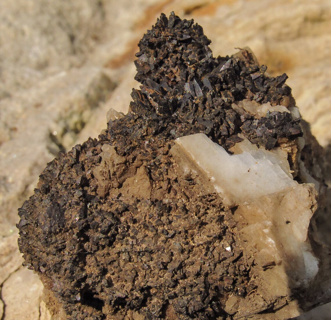 Goethite Pseudomorphs After Marcasite With Calcite - Etsy