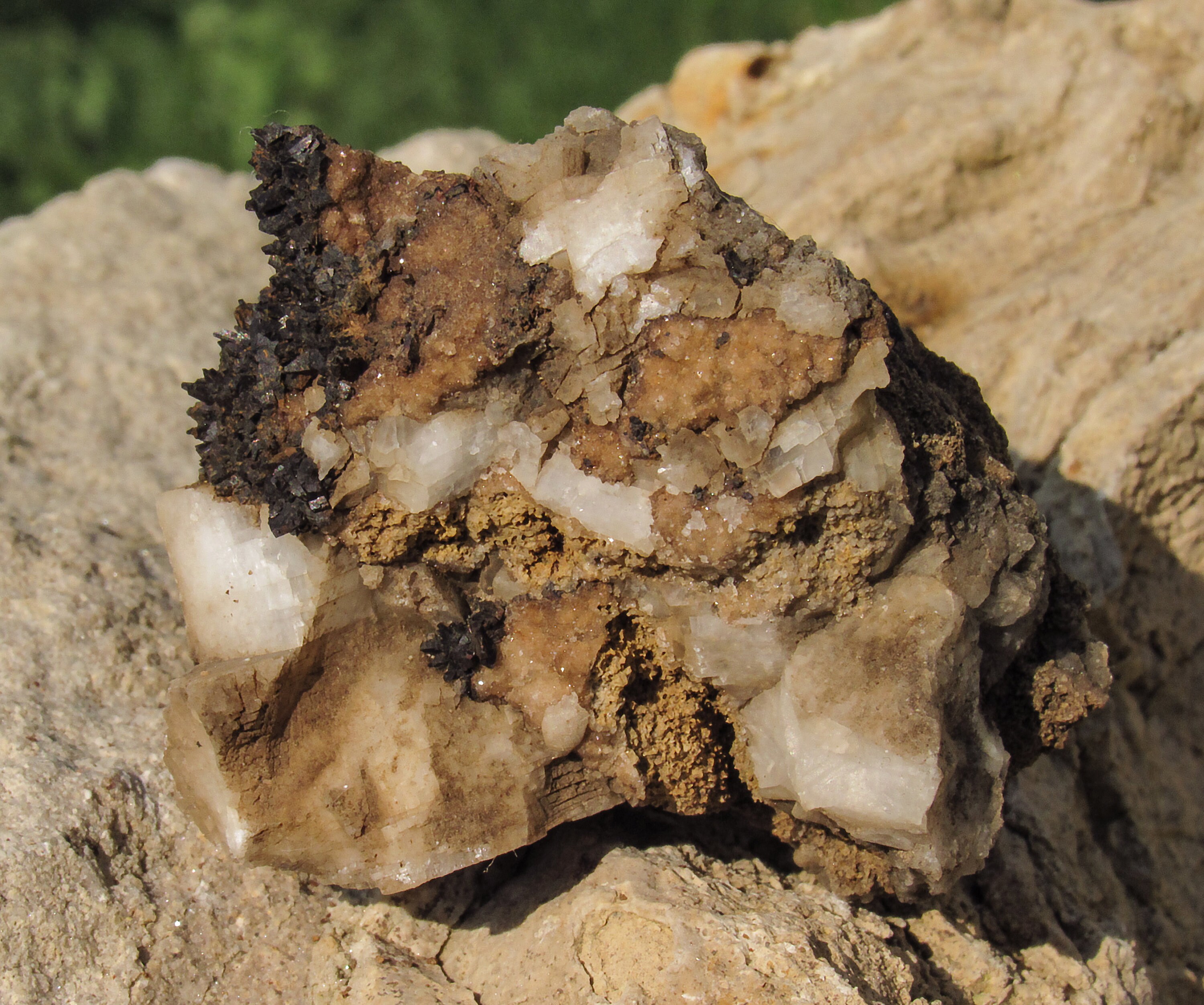 Goethite Pseudomorphs After Marcasite With Calcite - Etsy