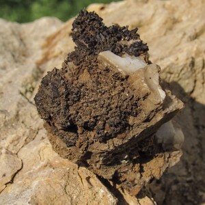 Goethite Pseudomorphs After Marcasite With Calcite - Etsy