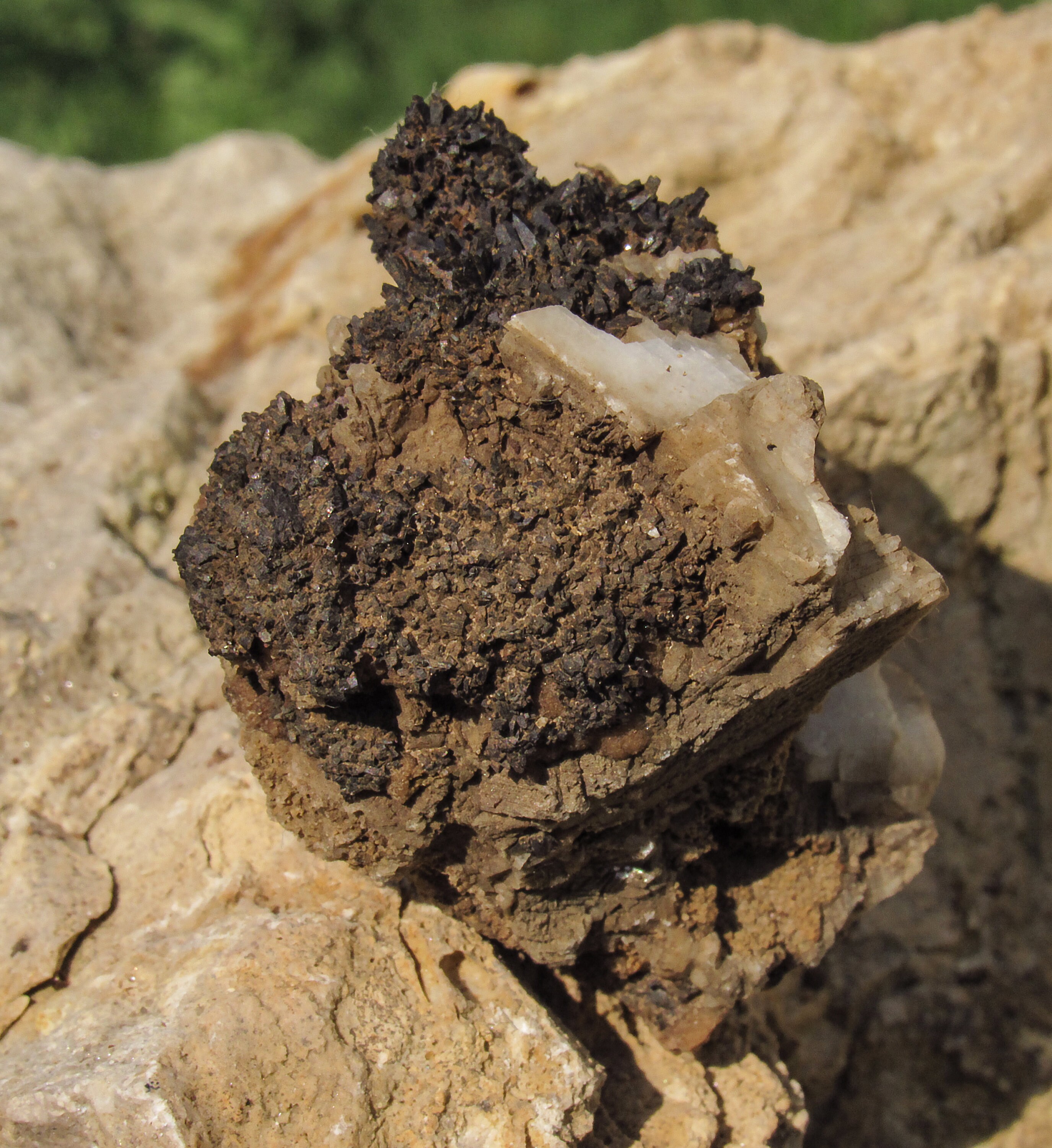 Goethite Pseudomorphs After Marcasite With Calcite - Etsy
