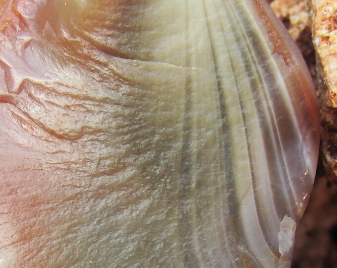 The Wing --- A Stunning Lake Superior Agate That Resembles a Bird's ...
