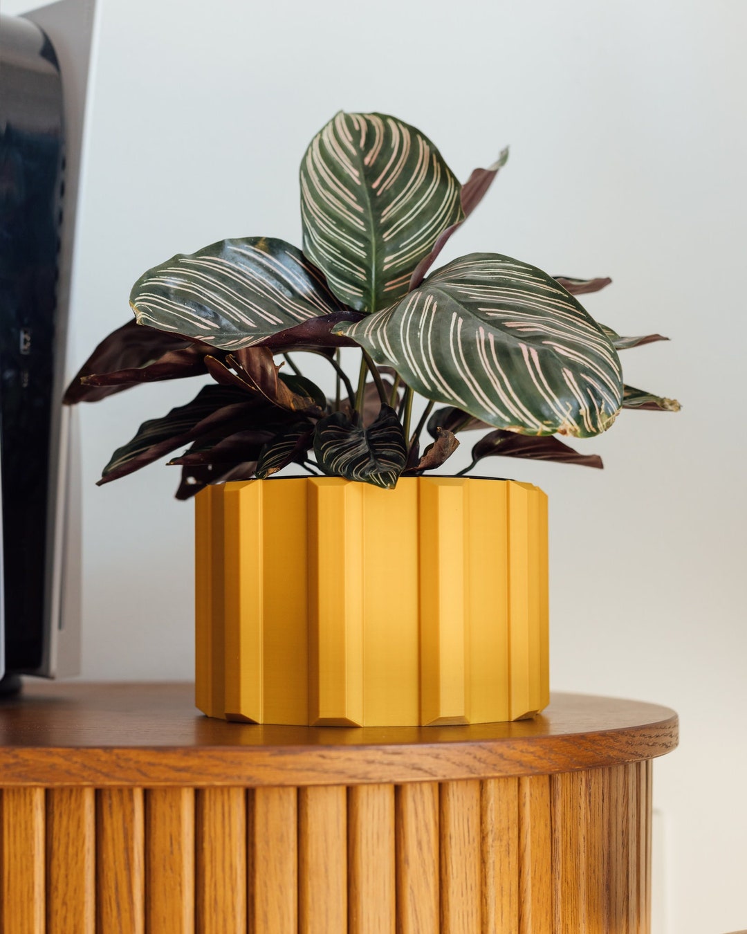 Modern Plant Pot | 3D Printed Planter | Plastic Pot for Houseplants ...