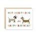 Cute Birthday Card Hot Diggity Dog Greeting Card Dog - Etsy