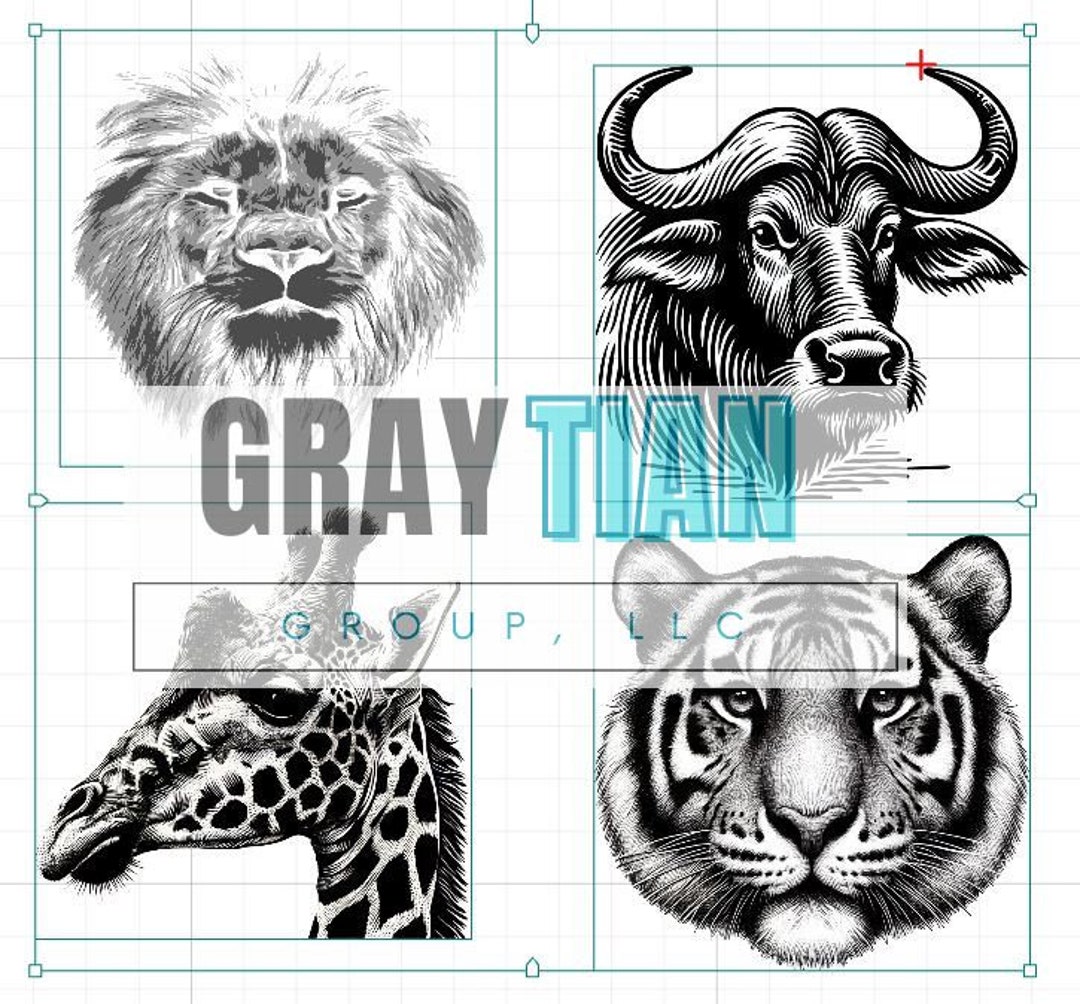 SVG File for Laser Engraving on a Square Slate Coaster Lion, Tiger, Giraffe, and Water Buffalo ...