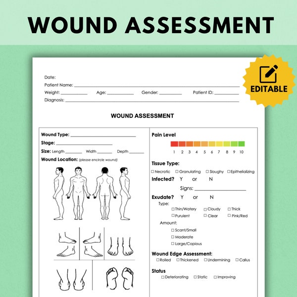 Wound Care Assessment Sheet - Etsy