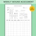 Weekly Wound Assessment Sheet: Nurse Report (PDF & Word) - Etsy