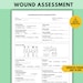 Wound Assessment Sheet, Pressure Ulcer Skin Integrity Assessment Nurse ...