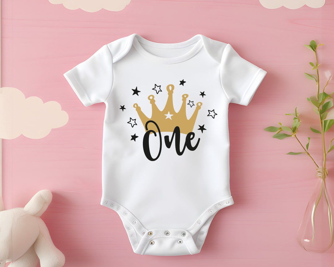 One Birthday Shirt, 1st Birthday Shirt, Kids Birthday Toddler Shirt ...