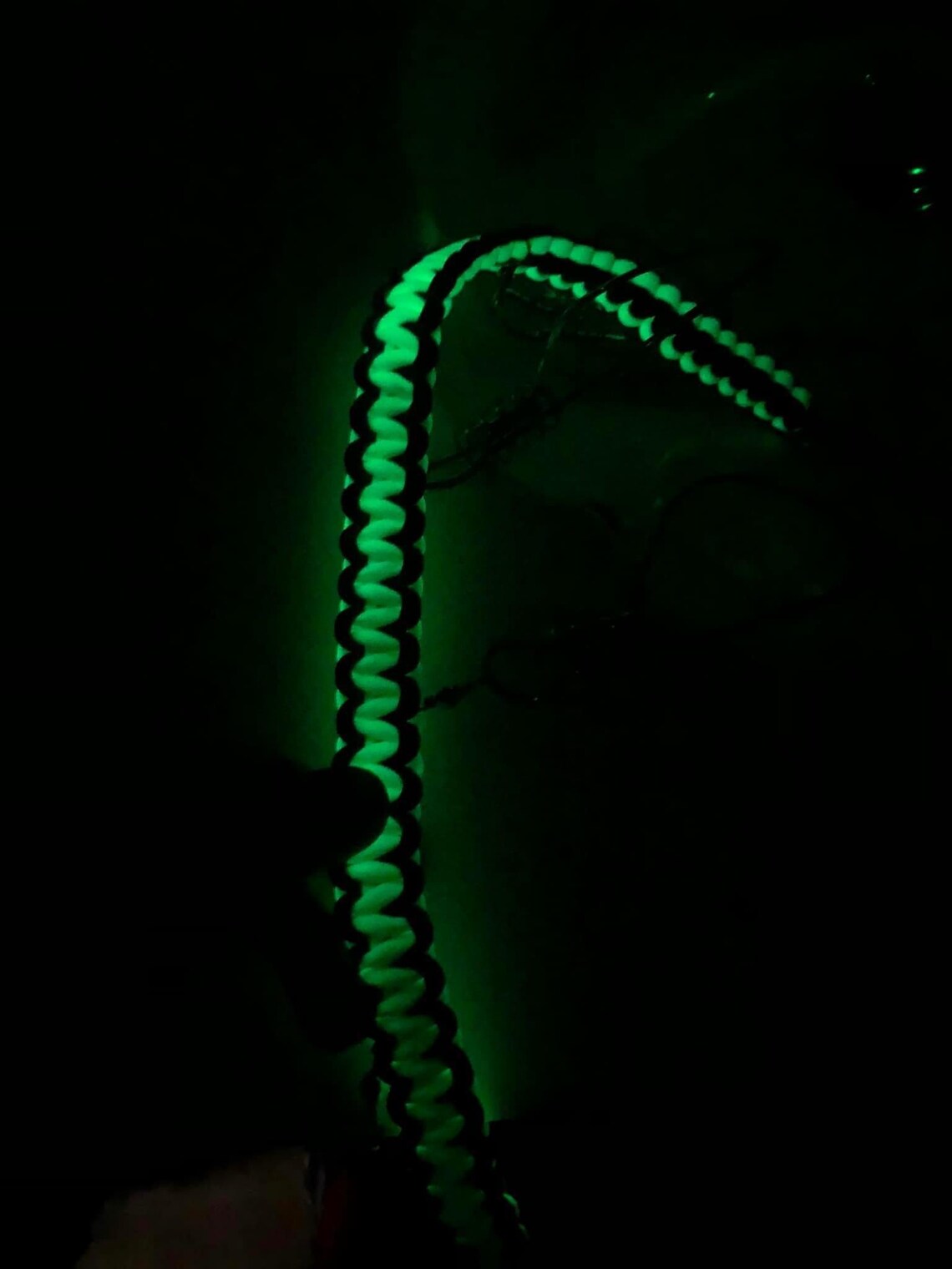 Fish Stringer Patented Orange and Glow in the Dark - Etsy