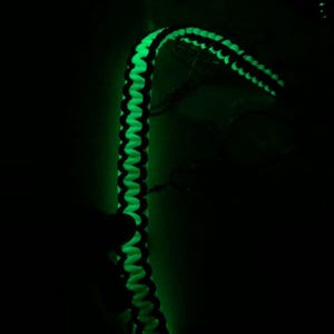 Fish Stringer Patented Orange and Glow in the Dark - Etsy