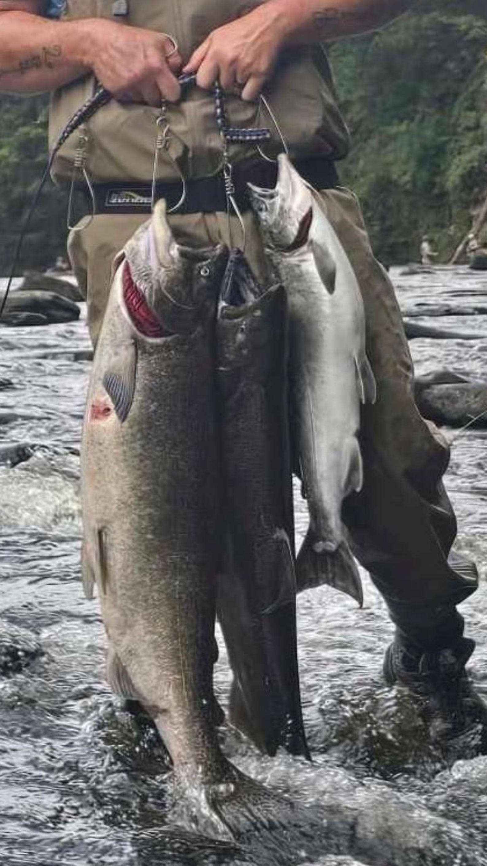 Fish Stringer Patented Orange and Glow in the Dark - Etsy