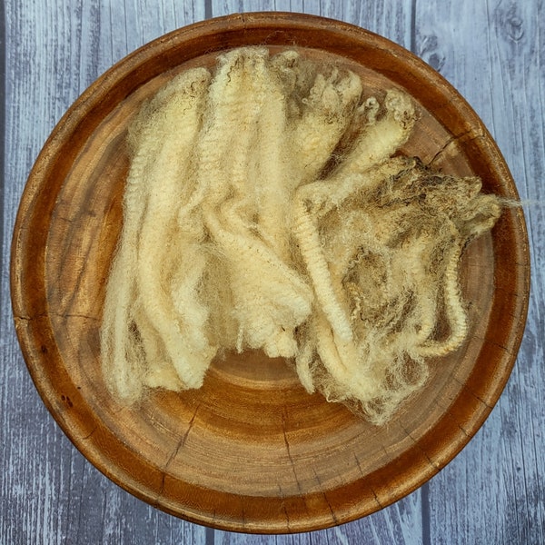 Cormo Fleece - Etsy