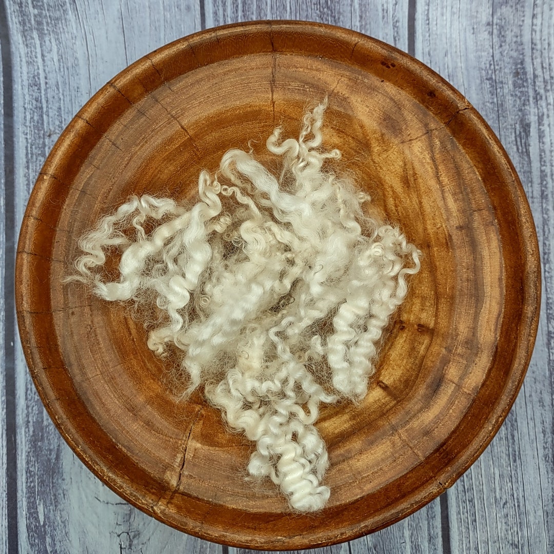 Lincoln Raw Wool - Border Leicester Cross - Curly Lamb Locks - Etsy