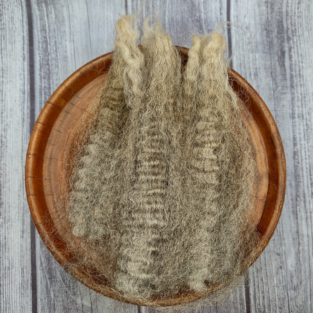 Romney Raw Wool - Texel Cross - Natural Colored - Etsy